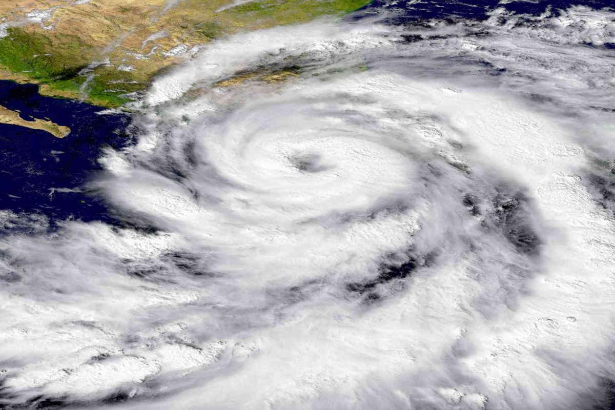 Fadi Saba, M.D. | Professional Health Care of Pinellas